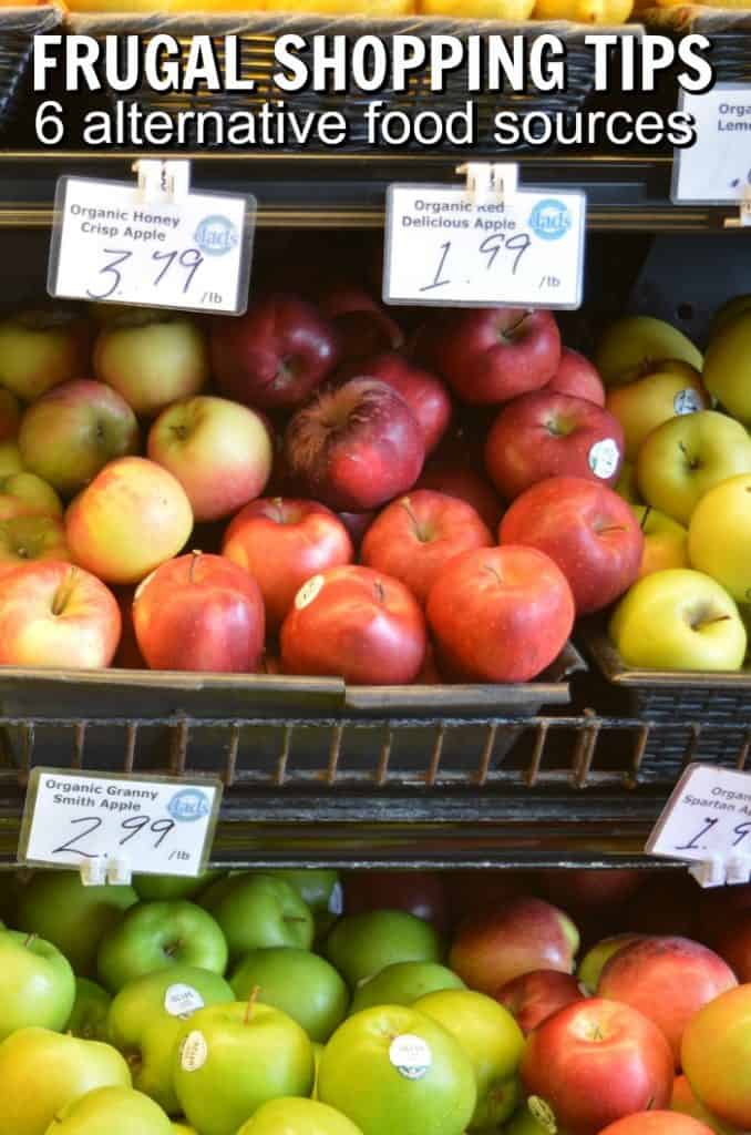 Alternative Food Sources for Healthy Food When Food Costs Rise