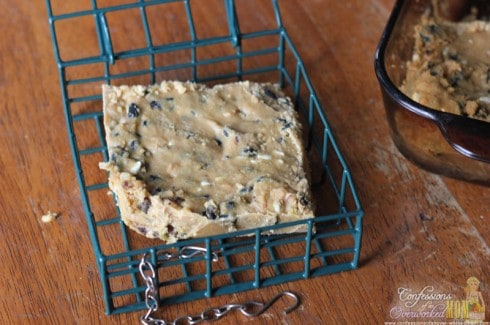 Homemade Suet For Birds | Confessions of an Overworked Mom
