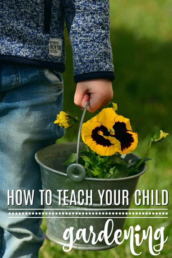 How to Teach Science In The Garden to Your Child