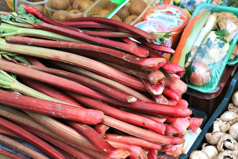Grandma's Iced Rhubarb Tea Recipe with Fresh Rhubrb