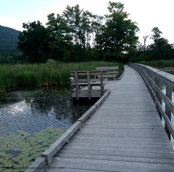 Hildene in Manchester Vermont
