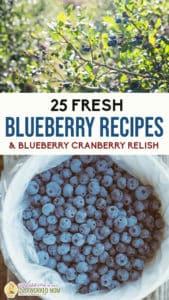 25 Fresh Blueberry Recipes: Blueberry and Cranberry Relish