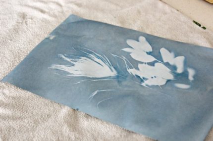 Sunprint Paper Kit Tutorial and Cyanotype Instructions