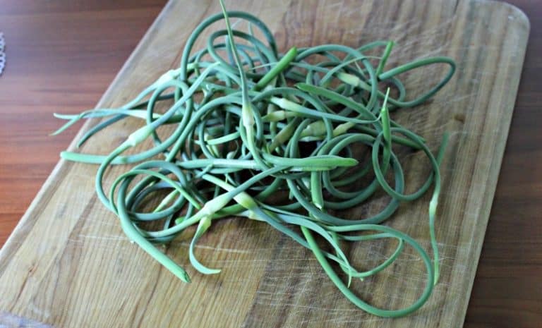 Cooking Garlic Scapes: 10 Ways to Use Them Up Today