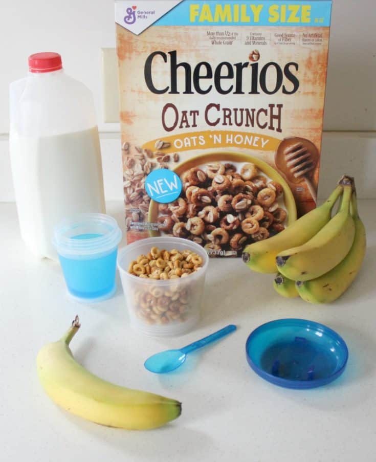 Best Cereal To Go and Keeping it Crunchy All Day Long