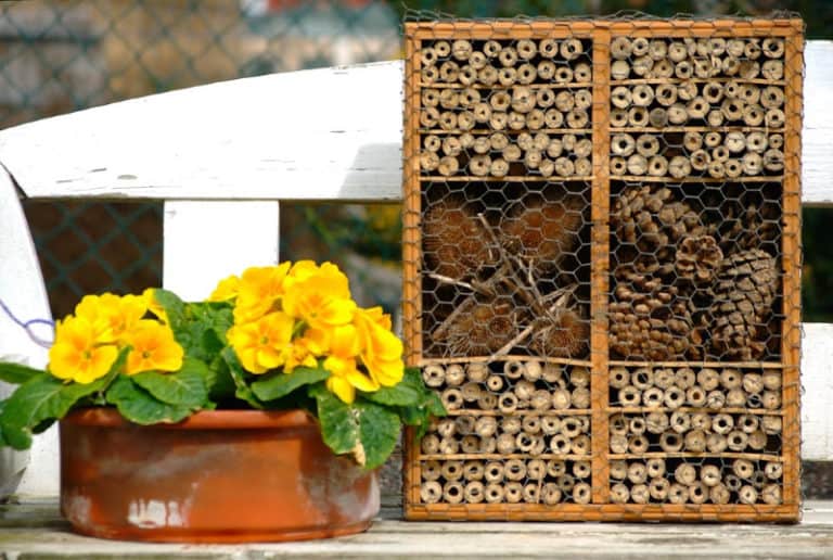 Ladybug Hotel or Insect Hotel for Your Garden or Yard