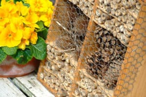 Ladybug Hotel or Insect Hotel for Your Garden or Yard