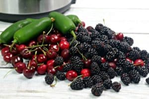 Blackberry Jalapeno Jam Recipe With Fresh Peppers