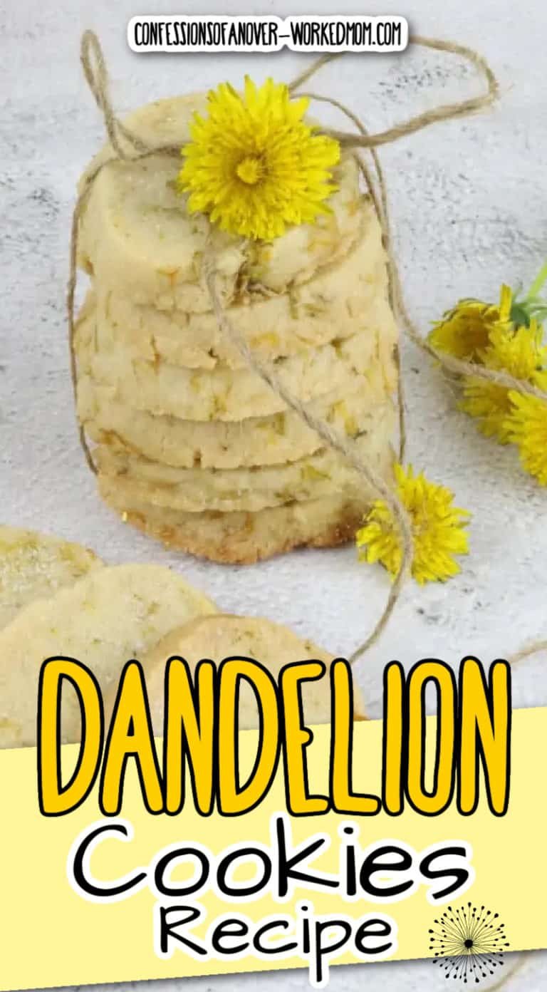 Dandelion Cookies Recipe | Confessions of an Overworked Mom